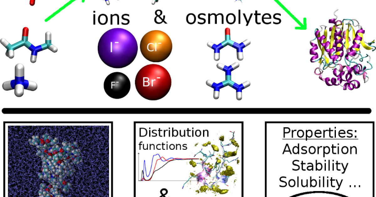 Computer modeling of complex systems - Department of Physical Chemistry